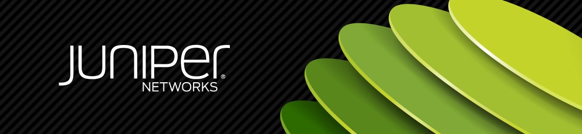 Juniper Networks Hands On Workshop "Eintauchen in AI-Native Networking"